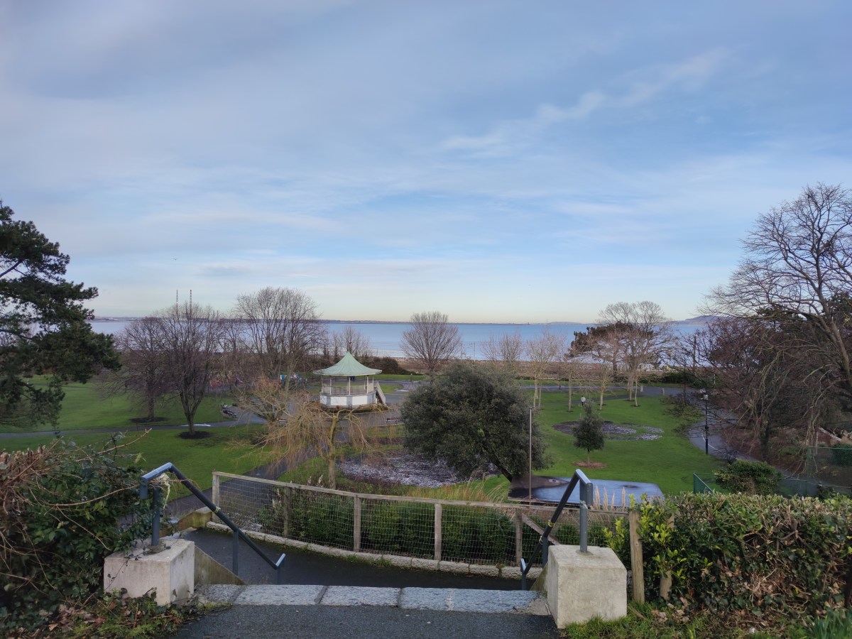 Limbo – Conroy's Cosy Corner